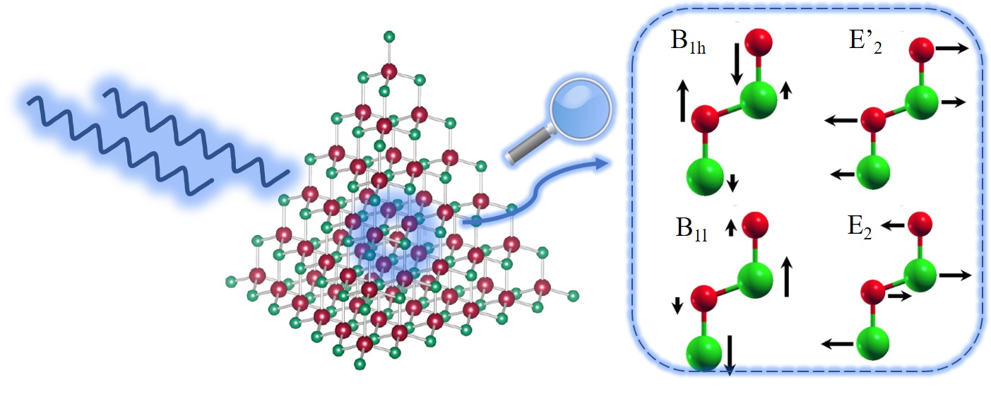 How Surface Ligands Influence the Lattice Dynamics of Cadmium Selenide Quantum Dot Nanoparticles ...